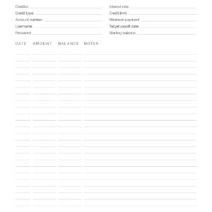 Debt Payment Log - Neat and Tidy Design