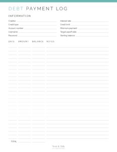 Debt Payment Log - Neat and Tidy Design
