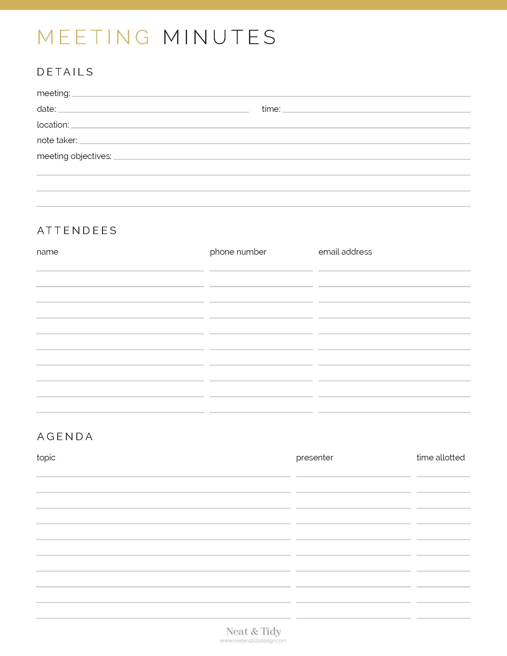 Meeting Minutes - Neat and Tidy Design
