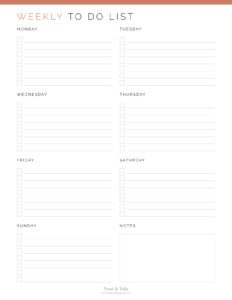 Weekly To Do List - Neat and Tidy Design