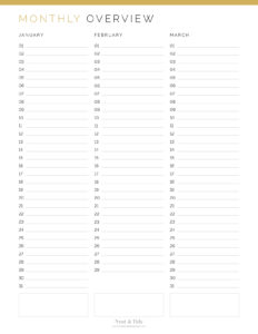 Monthly Overview Planner - Neat and Tidy Design