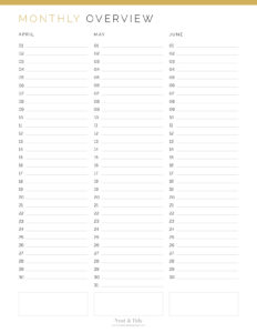 Monthly Overview Planner - Neat and Tidy Design