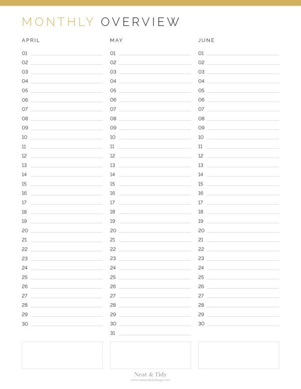 Monthly Overview Planner - Neat and Tidy Design