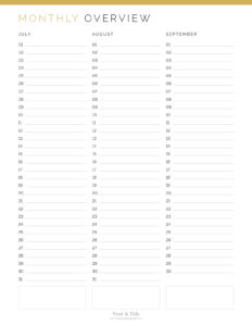Monthly Overview Planner - Neat and Tidy Design