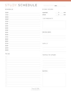 Daily & Weekly Study Schedule - Neat and Tidy Design
