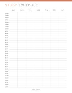 Daily & Weekly Study Schedule - Neat and Tidy Design