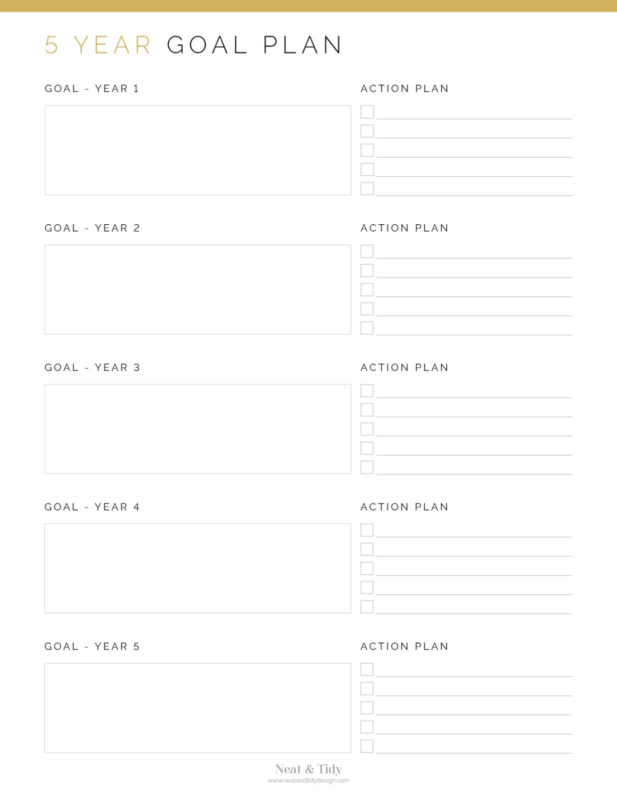 5 Year Goal Plan - Neat and Tidy Design