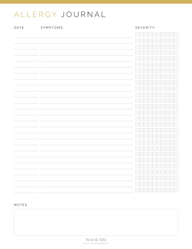 Medical Binder Kit - Neat and Tidy Design