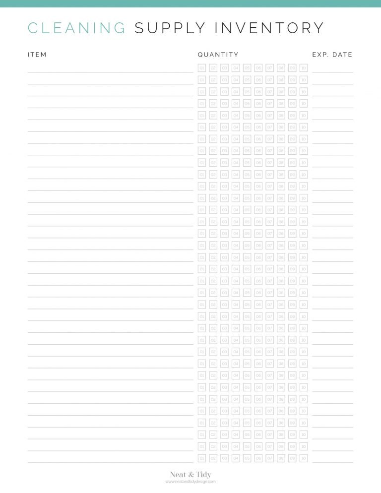 Cleaning Kit - Neat and Tidy Design