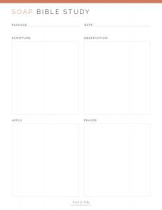 Soap Bible Study - Neat and Tidy Design