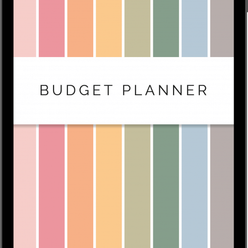 Digital Budget Planner - Neat and Tidy Design
