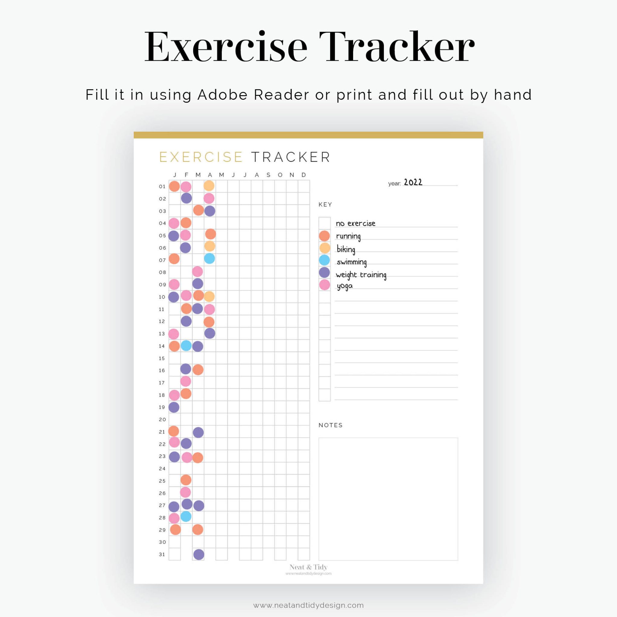 Exercise Tracker - Neat and Tidy Design
