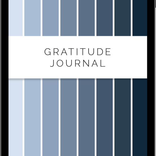Digital Gratitude Journal - Neat and Tidy Design